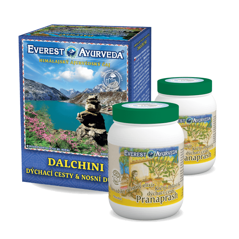 Nosové & čelové dutiny | Everest Ayurveda